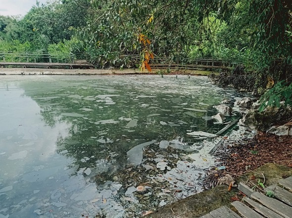 Menengok Kembali Wisata Air Panas Danom Layong Di Kecamatan Long Kali ...